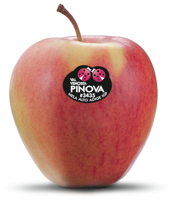 Pinova Val Venosta - il frutto sano dello sportivo: una fonte di ...